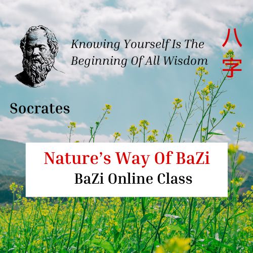 The 5 Elements of Bazi vs The Wonders of Nature – Bazi Consult